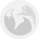 Kansas City Web Design & SEO Services - Fox Web Creations